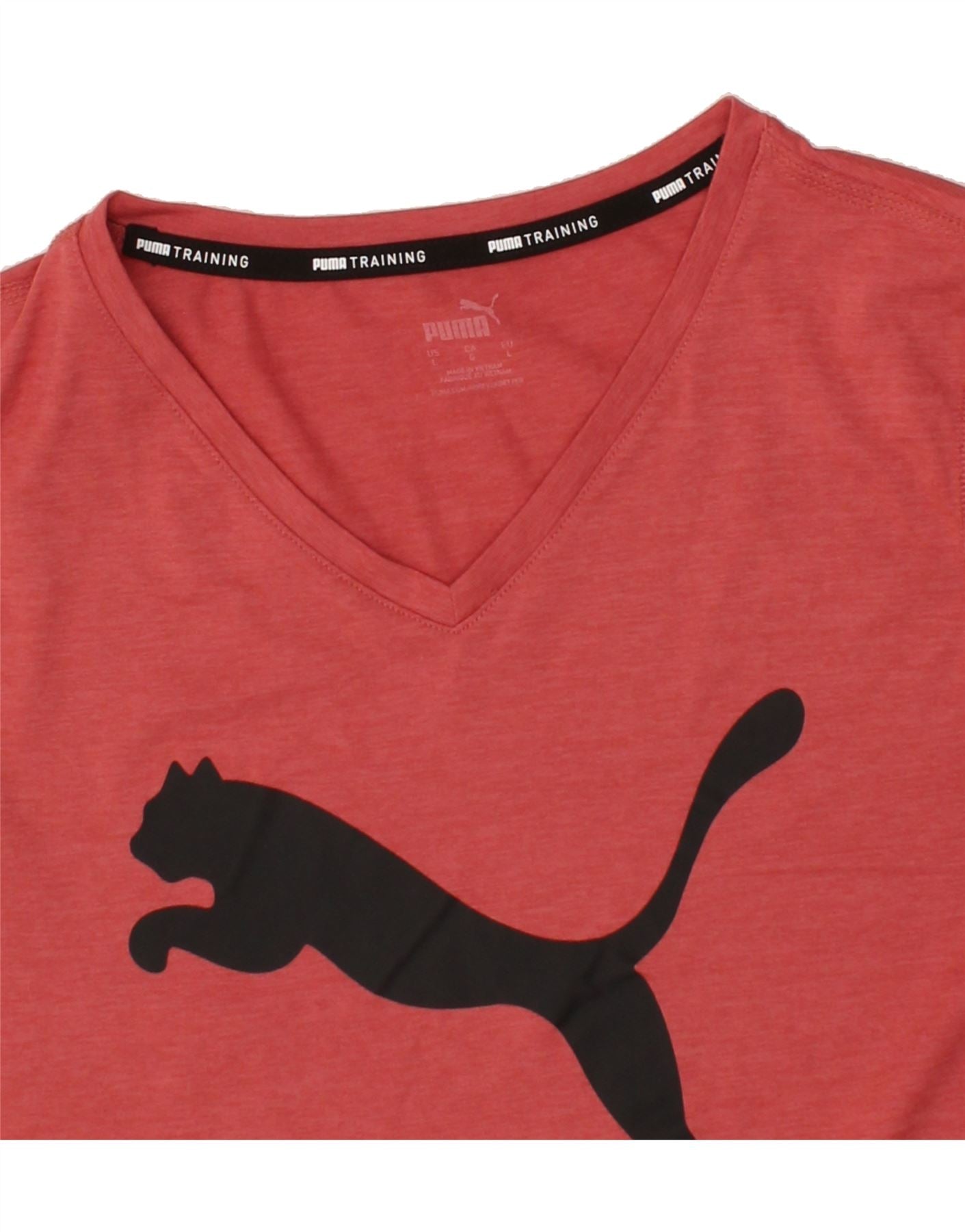 Puma t shirts online store